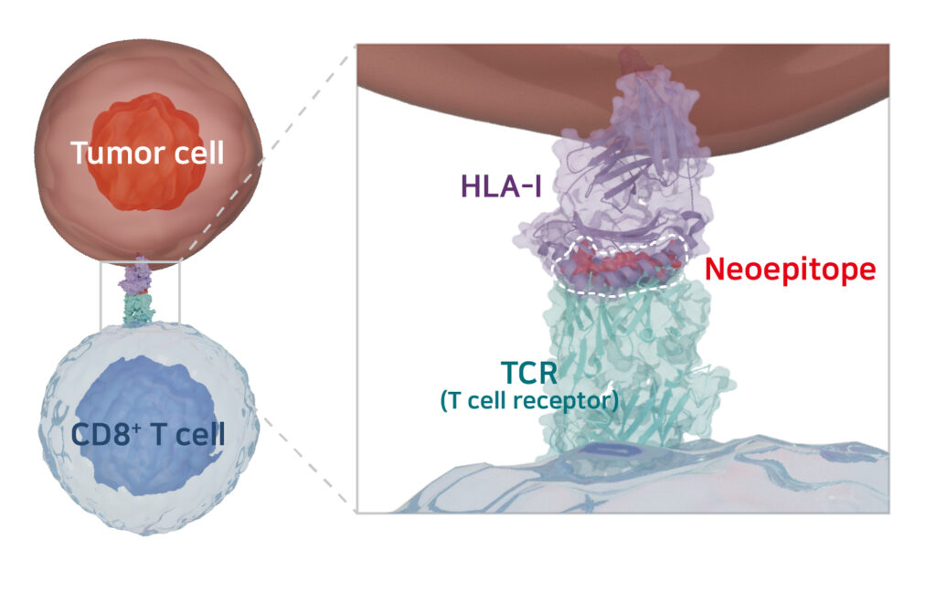 Technology – TCELLOGY